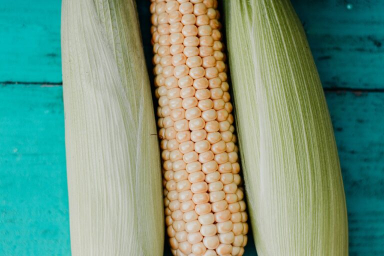 Is corn good for a diet for weight loss? - Sparkling Moods