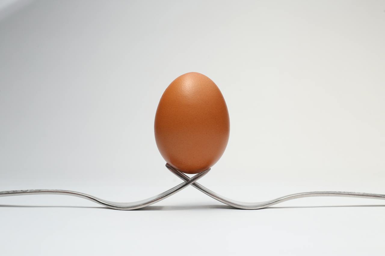 Calories in one egg: Comparing white and yolk for weight loss ...