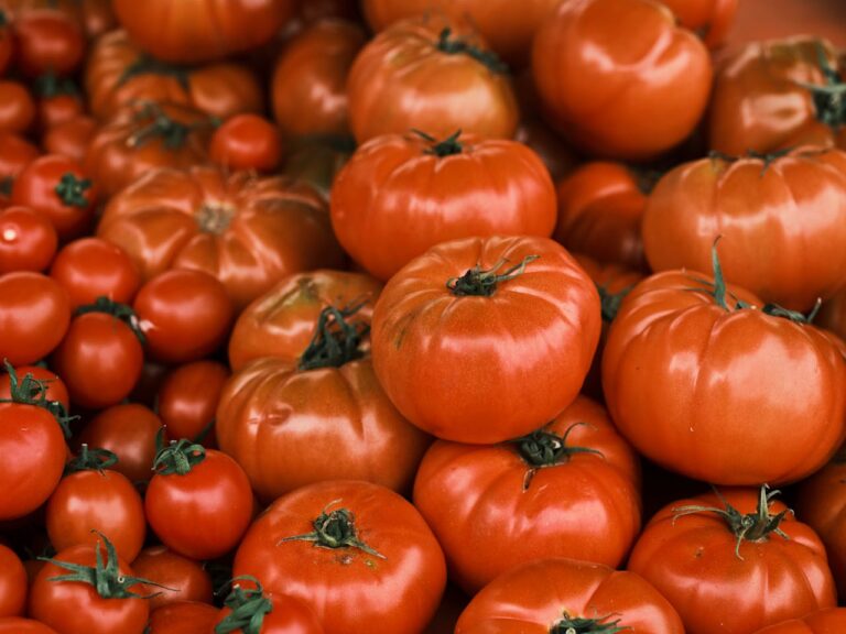 Can You Eat Wrinkled Tomatoes? A Guide to Safety - Sparkling Moods